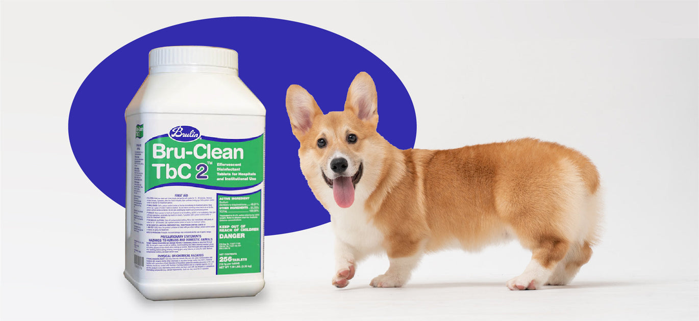 Bru-Clean TbC 2 Effervescent Tablet Disinfectant — CleanFreak.com