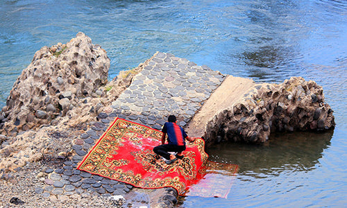 Keep Carpets Clean for Everyone’s Health — CleanFreak.com