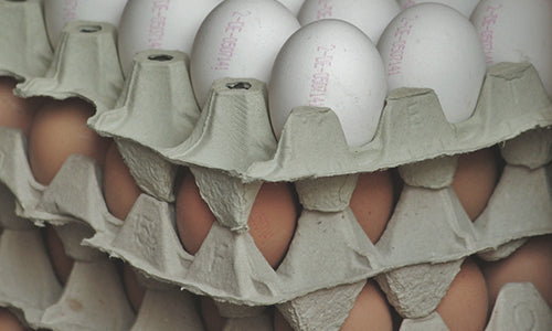 How to Remove Egg from Your Home’s Exterior — CleanFreak.com