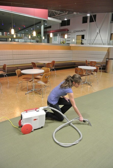 Viper Wolf™ Carpet Grooming Carpet Spotter — CleanFreak.com